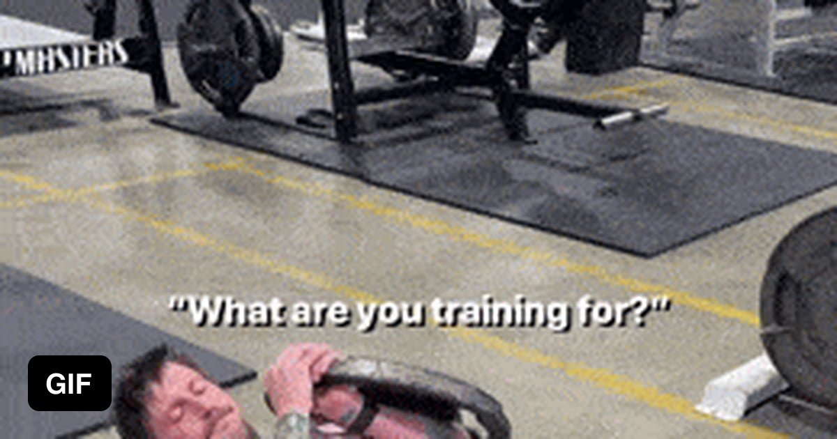 Dog owner training - 9GAG