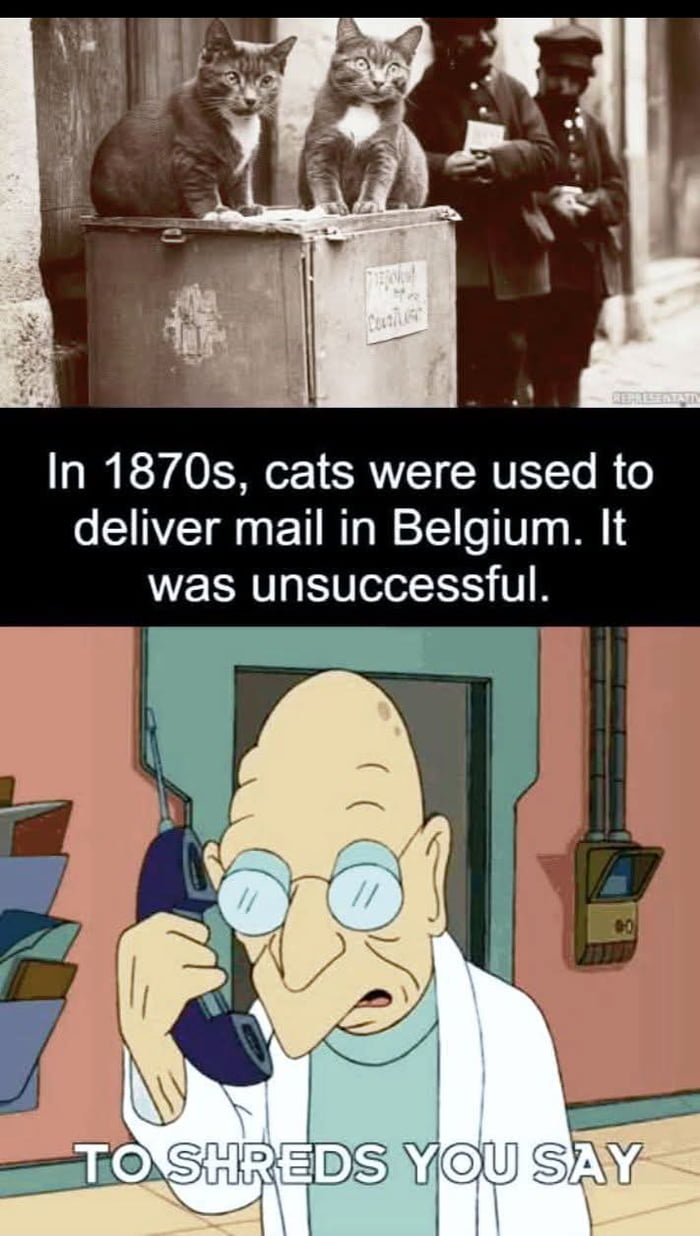 Well... Crap! - 9GAG