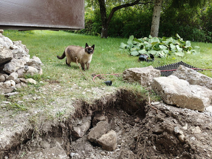 Construction site manager - 9GAG