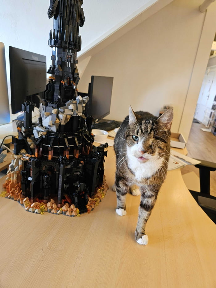 My one eyed cat Bob and Barad-dûr - 9GAG