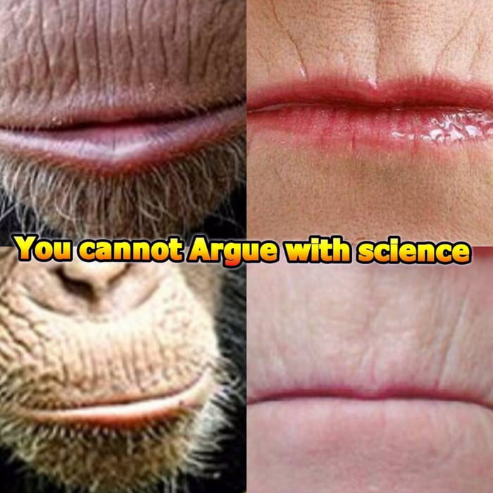 Comparison (A consideration or estimate of the similarities or ...