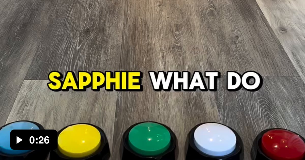 "Thank you"....wait.....woah, woah, woah why is she looking into my soul - 9GAG