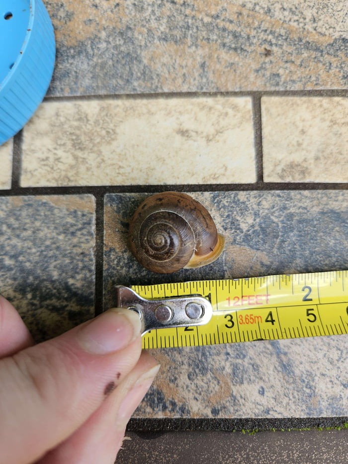 Of a garden snail - 9GAG
