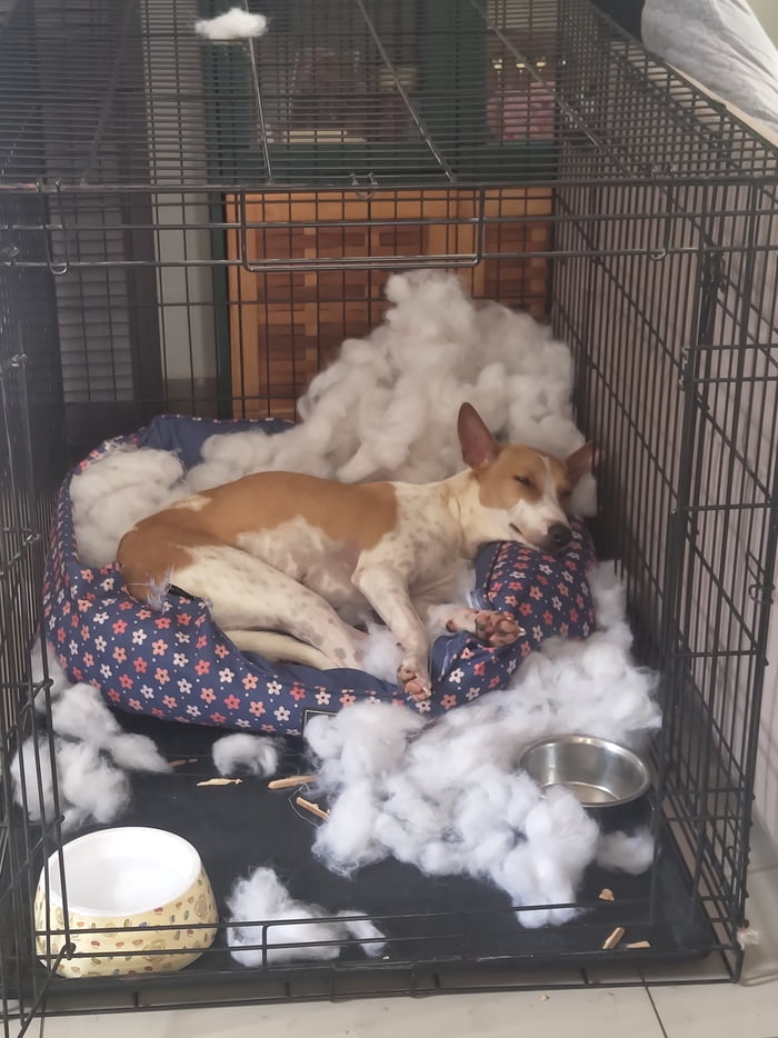 Oona is quite a bit of an artist. - 9GAG