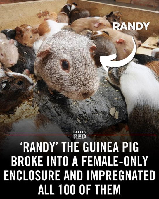 Women's prison is calling your name, be like Randy - 9GAG