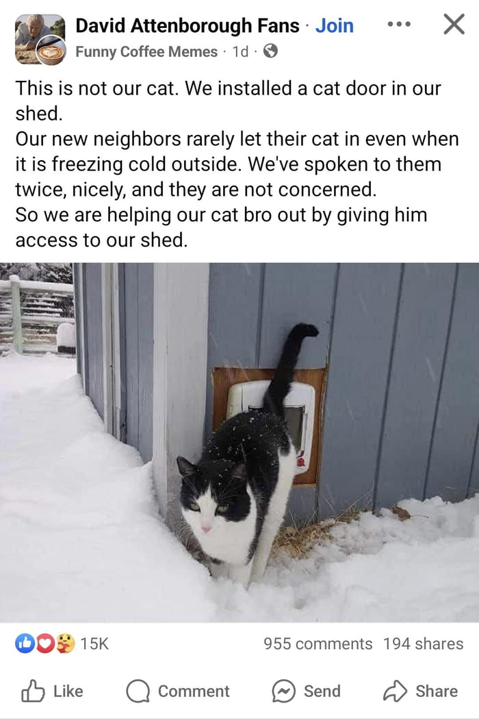 Good neighbors help cat from cold weather - 9GAG