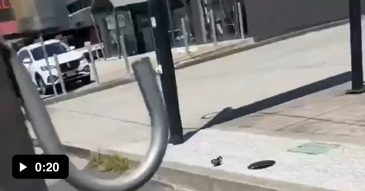 Everyone is a bit hot and grumpy in Australia at the moment - 9GAG