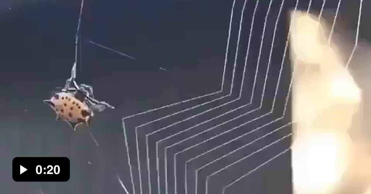 Spider knitting a web - 9GAG