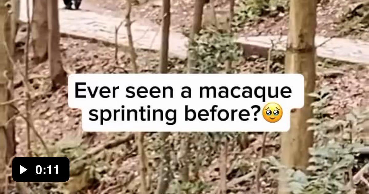 Looks like Steven Segal running - 9GAG