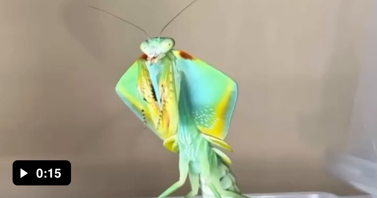 Pokémon evolve - 9GAG