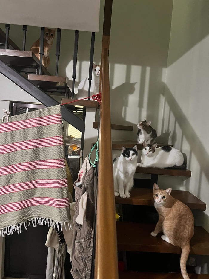 Maybe I overdid it - 9GAG