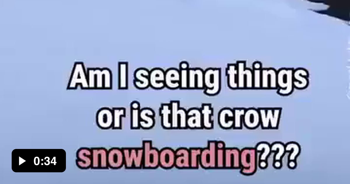 Nothing special to see, just a snowboarding crow.Nothing special to see ...