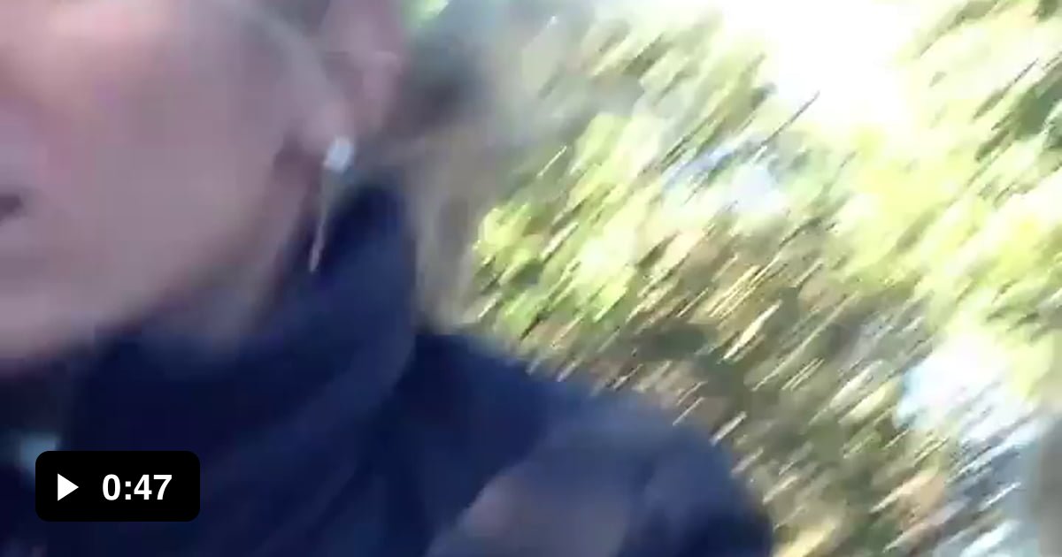 Crazed Giraffe Chases Jeep During African Safari - 9GAG