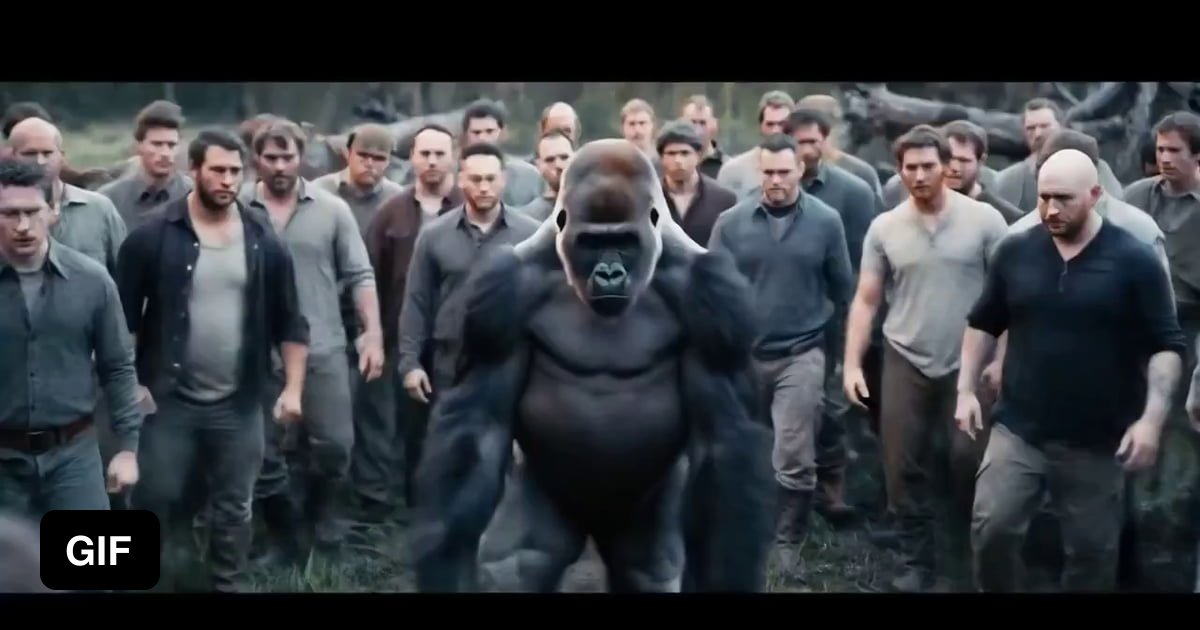 Go Go Go Gorilla!!! - 9GAG