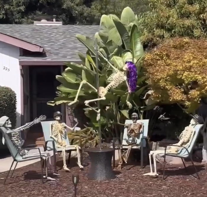 Ever partied at a skeleton show - 9GAG