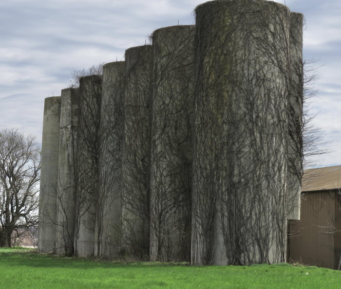 Trees on Silos in Oklahoma - 9GAG