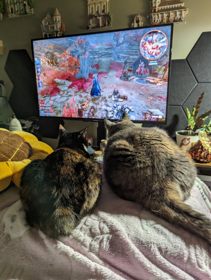 Kira and Klee are seriously addicted to BG3. - 9GAG