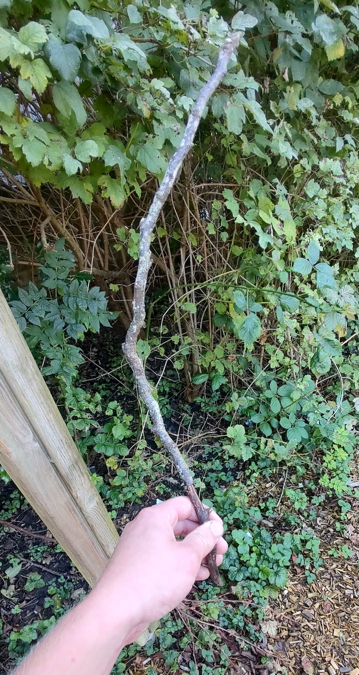 Are we still doing sticks? Got this one from my 4yo niece. Apperently ...