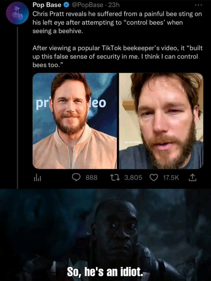 Master of the bees - 9GAG