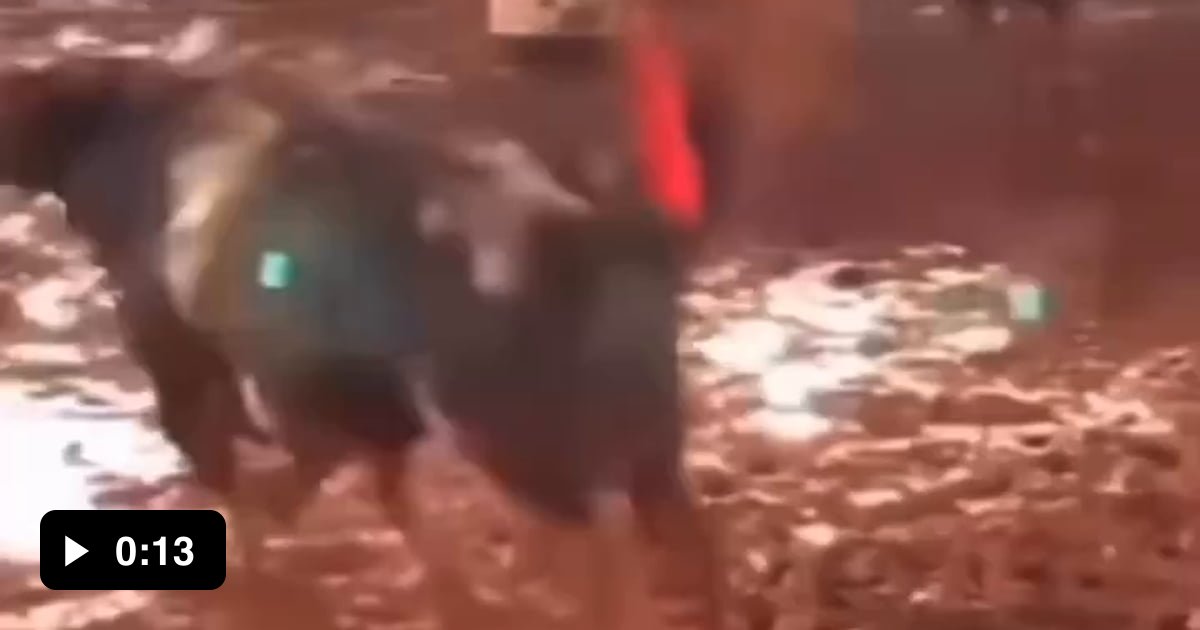 Bull breakdancing - 9GAG