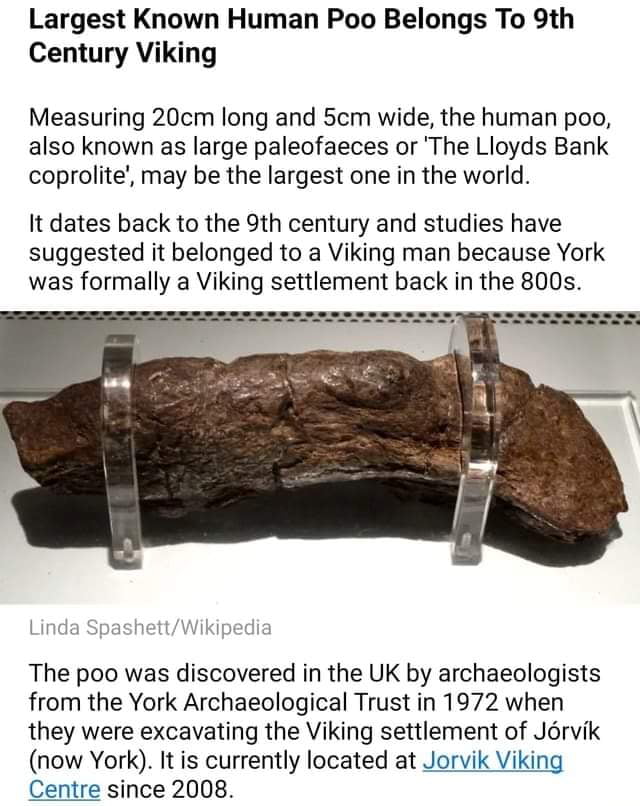 A part of you can end up in a museum... - 9GAG