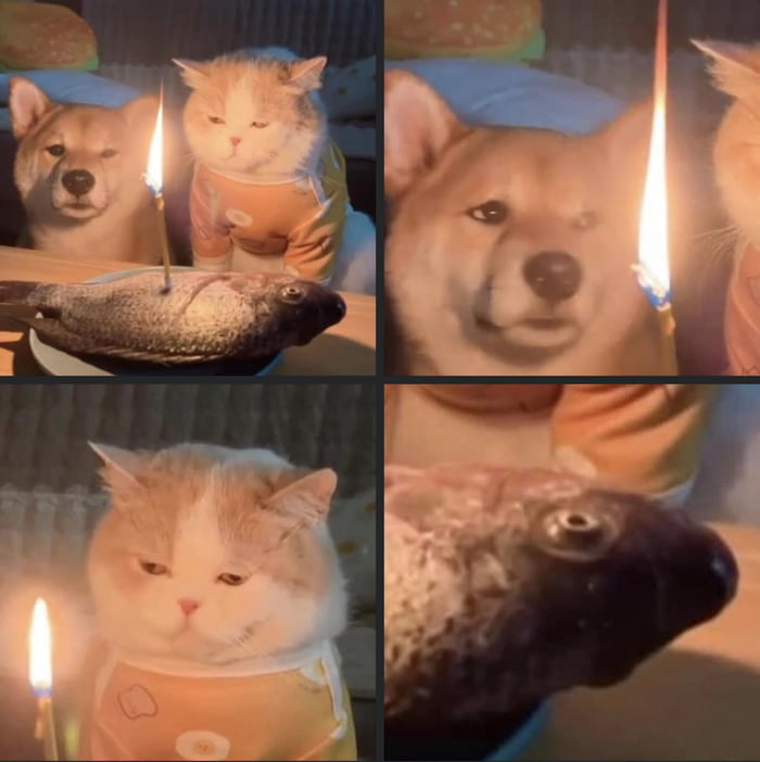 All 3 look dead inside - 9GAG