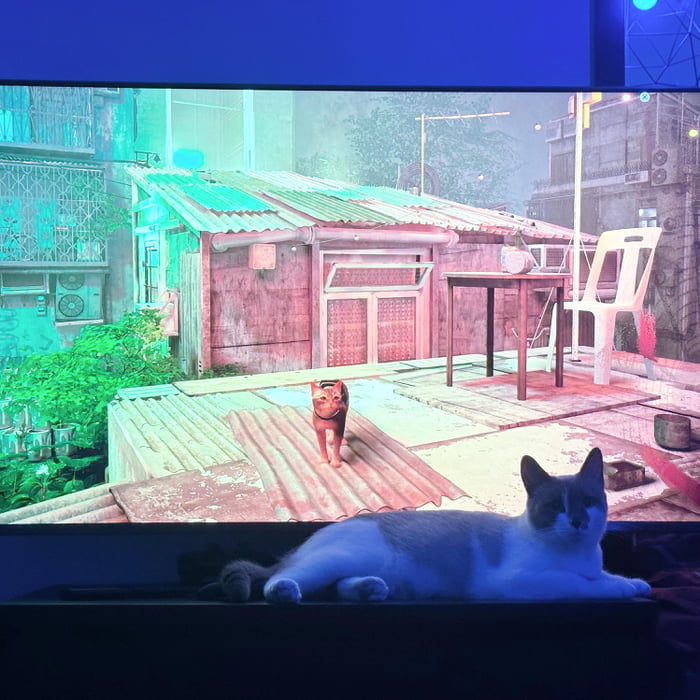 Playing Stray a PS4 cat’s game - 9GAG