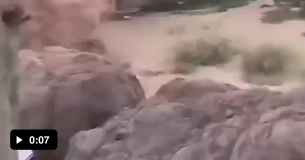 Demanding monkey, the edgelord - 9GAG