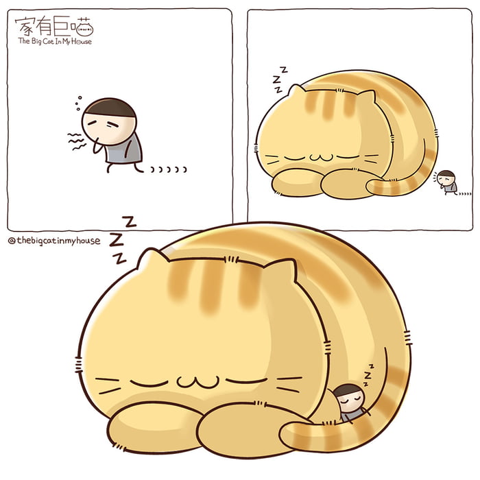 Soft and fluffy giant bed is ready - 9GAG