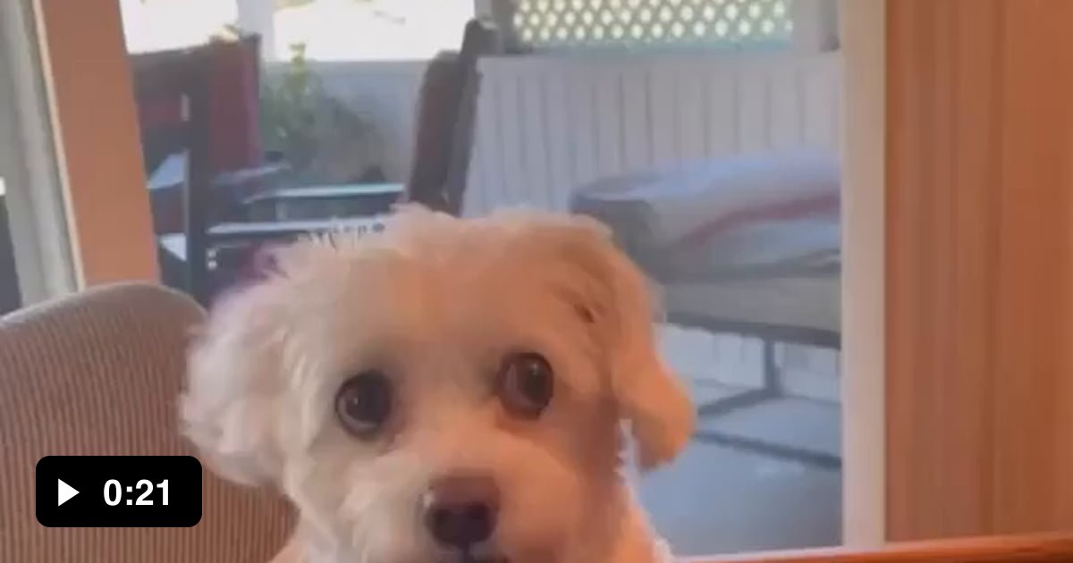 He's very attentive ! - 9GAG