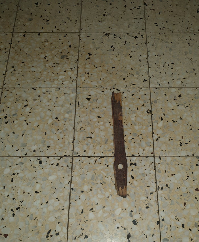 It's a small stick. Used it to tend a fire 15 years ago. I keep it for ...