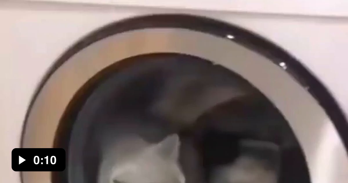 Cat trapped in Washing Machine - 9GAG