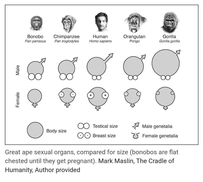 Some biology for you apes - 9GAG