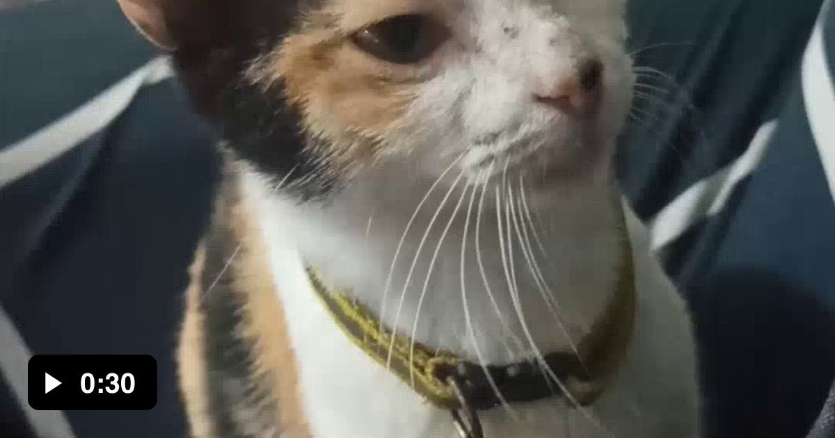 He understood the assignment - 9GAG