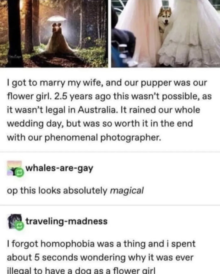 I was actually wondering the same thing for a moment - 9GAG