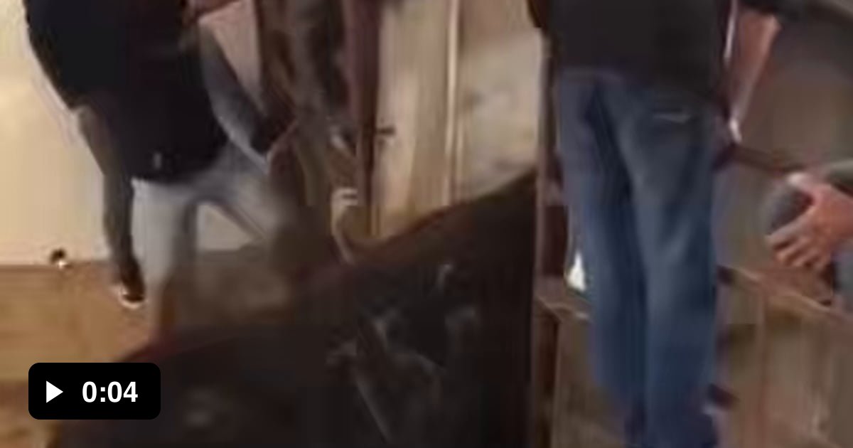 Don't try to smack dem a*s cheeks.! - 9GAG