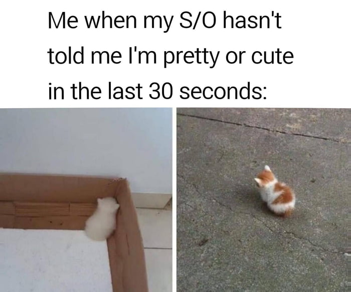 No attention = angy - 9GAG