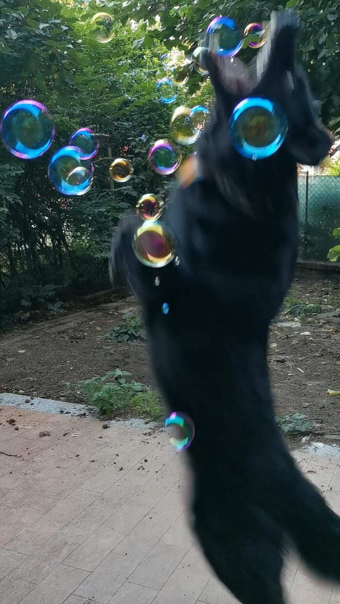 The Bubble Monster - 9GAG