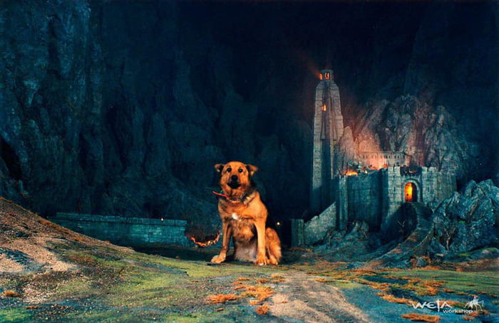 Huan, the Great Hound of Valinor, at Helm's Deep - 9GAG