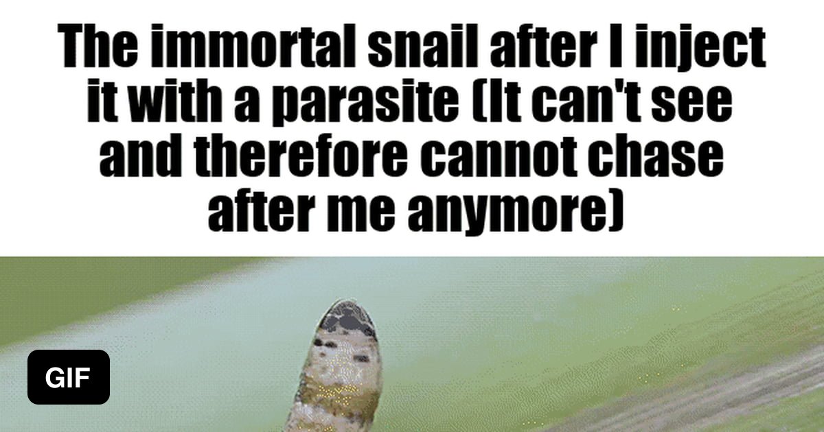 Checkmate snail - 9GAG