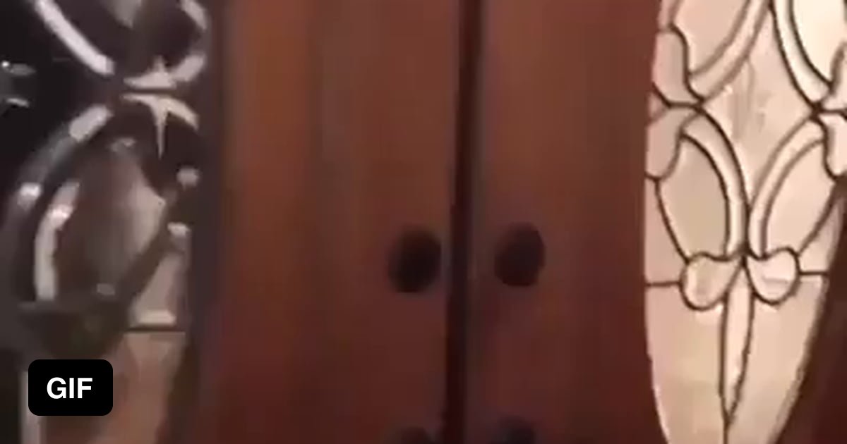 Knock knock, who Dat‽ - 9GAG