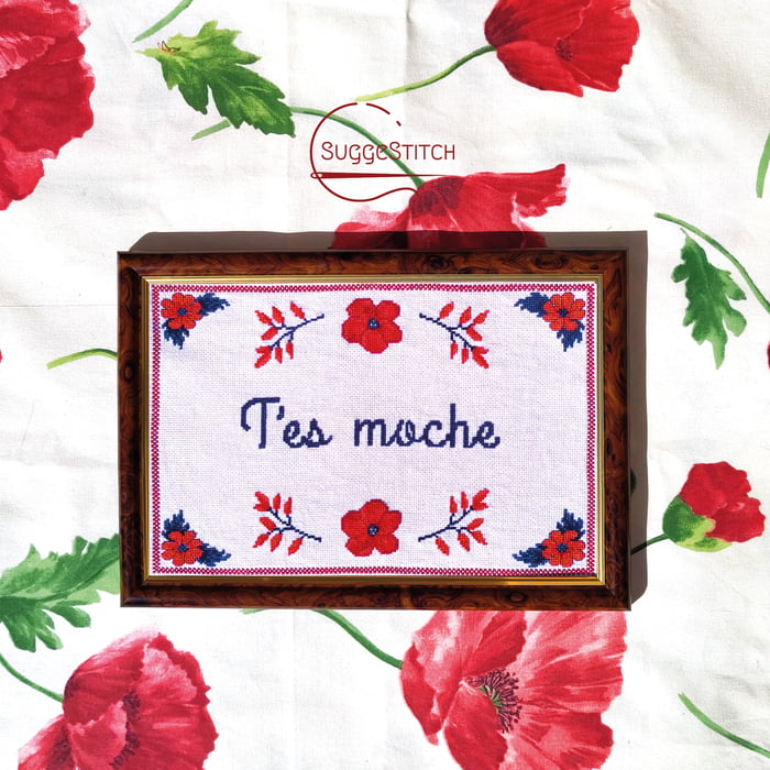 T'es moche - broderie au point de croix - 9GAG