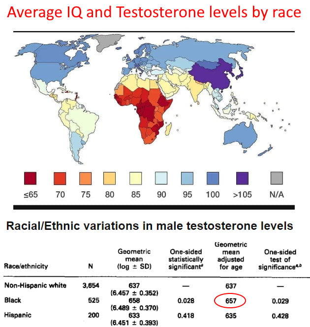 Low IQ causes stupid and impulsive decisions. High testosterone ...
