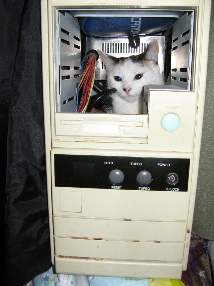 Tech Support kitty - 9GAG