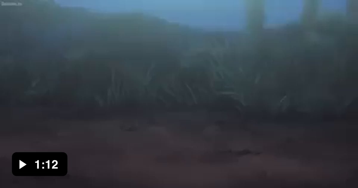 Help daddy with the sauce captain - 9GAG