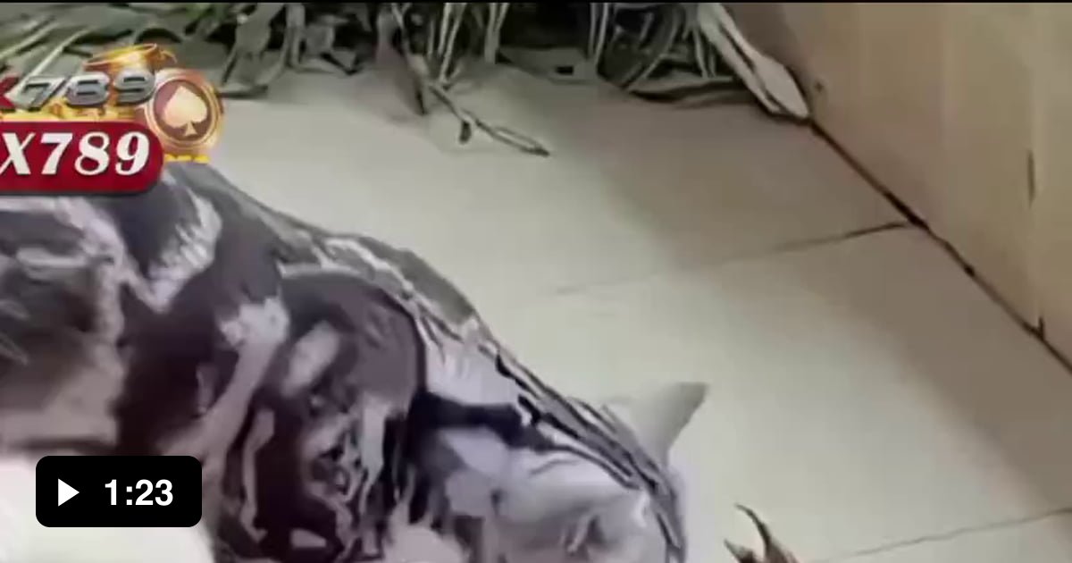 Reflex masters - 9GAG