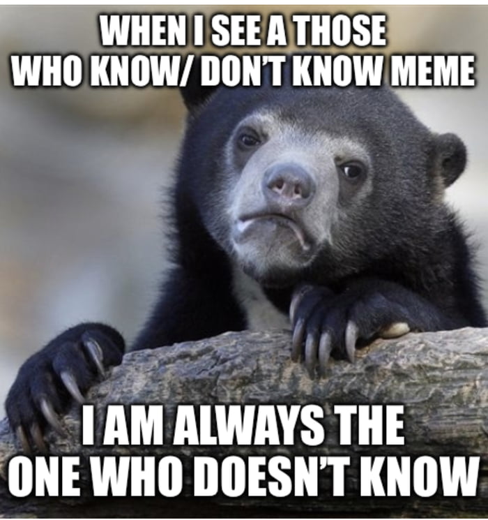 Confession bear - 9GAG