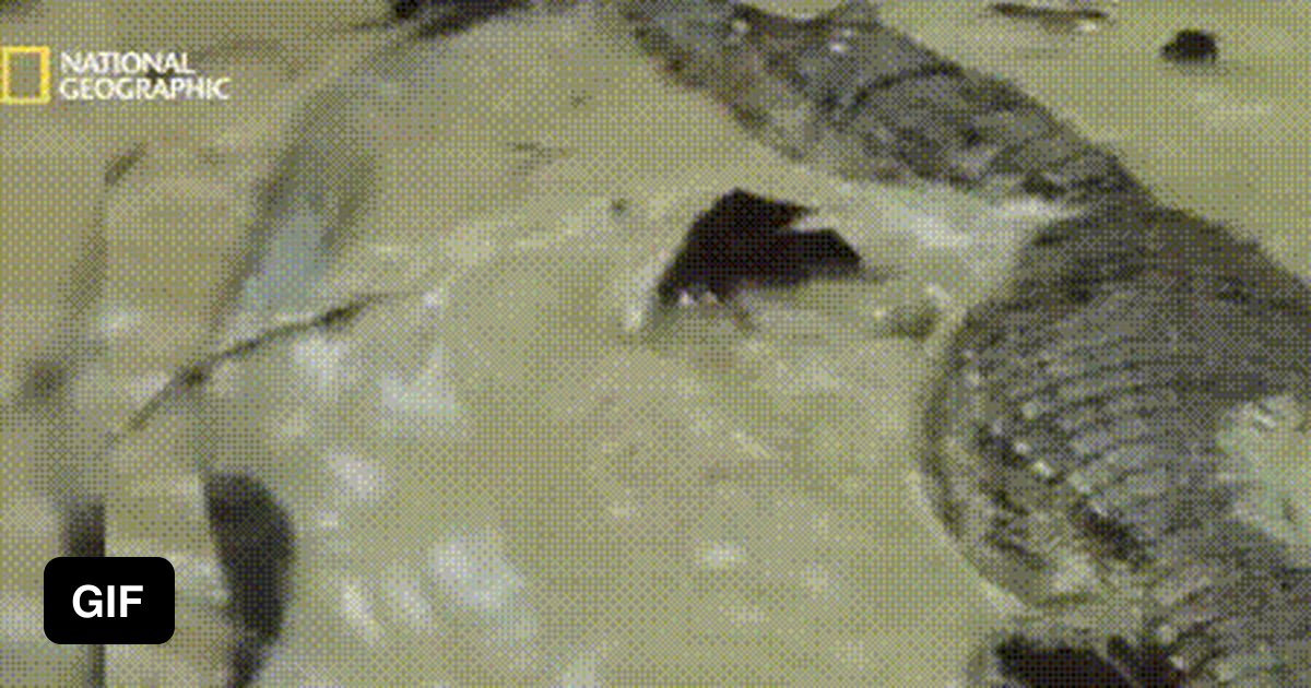 Making-Of | Lacoste - 9GAG