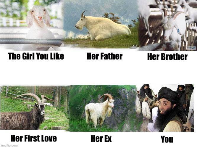 Love 9gag