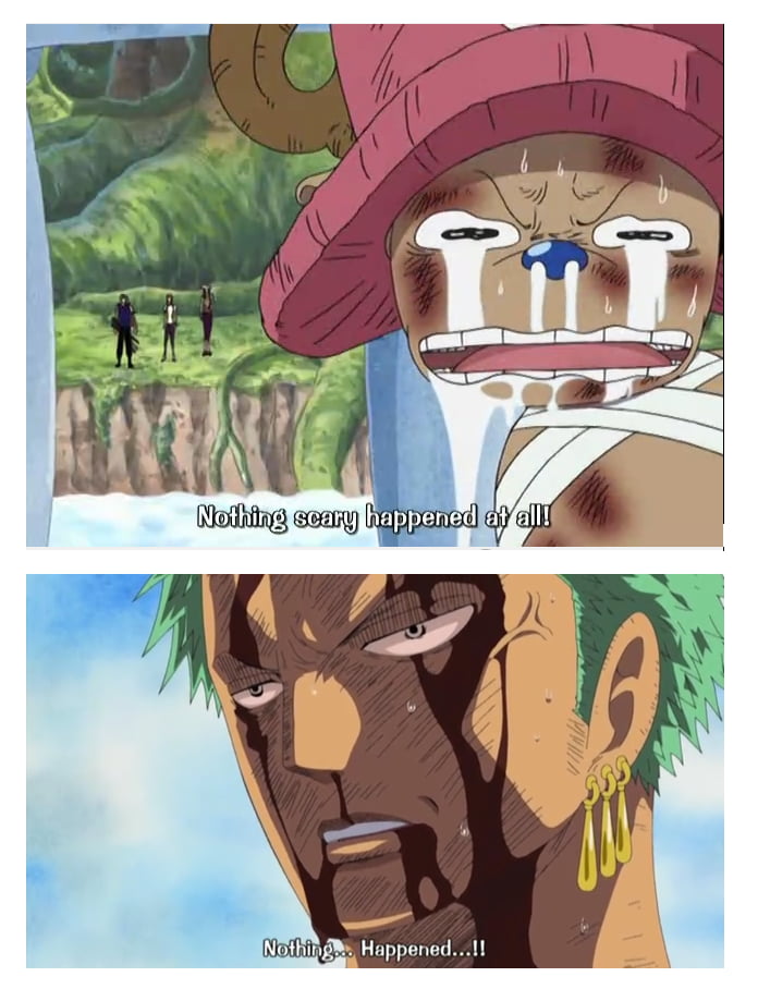 Chopper was so cool even Zorro copied him. - 9GAG